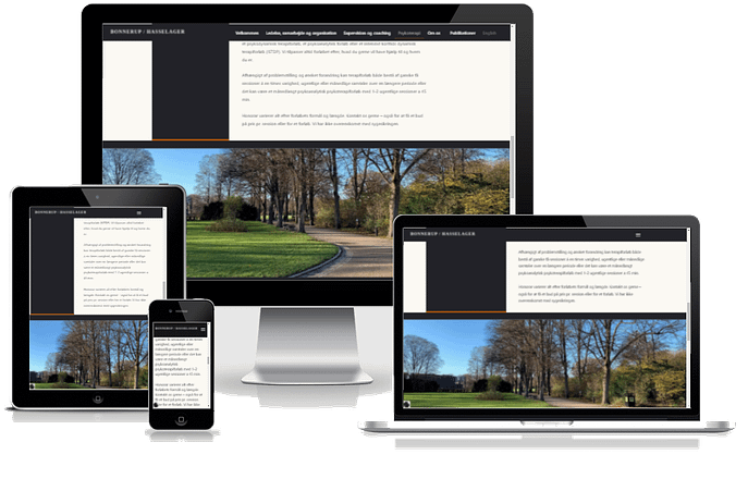 WORDPRESS HJEMMESIDE DESIGN | HJEMMESIDER | WEBDESIGN